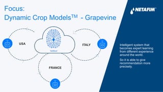 NetBeat: The first irrigation system with a brain | PPTX | Agriculture ...