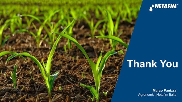 NetBeat: The first irrigation system with a brain | PPTX | Agriculture ...