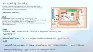 Diuretics , mechanism of action, uses and adverse effects | PPTX