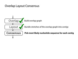 Overlap Layout Consensus assembly | PDF | Programming Languages | Computing