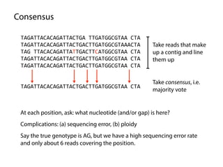 Overlap Layout Consensus assembly | PDF | Programming Languages | Computing