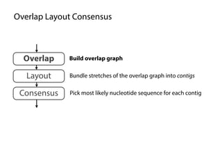 Overlap Layout Consensus assembly | PDF | Programming Languages | Computing