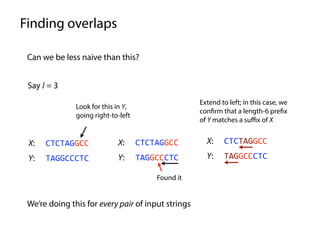 Overlap Layout Consensus assembly | PDF | Programming Languages | Computing