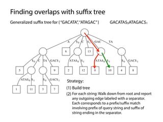 Overlap Layout Consensus assembly | PDF
