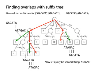 Overlap Layout Consensus assembly | PDF