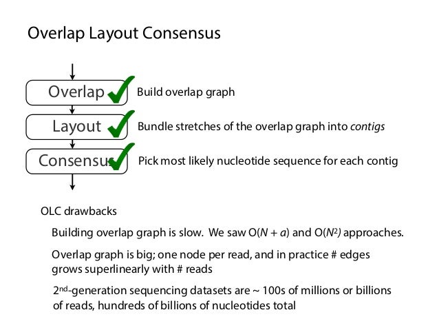 Overlap Layout Consensus assembly Overlap Layout Consensus assembly