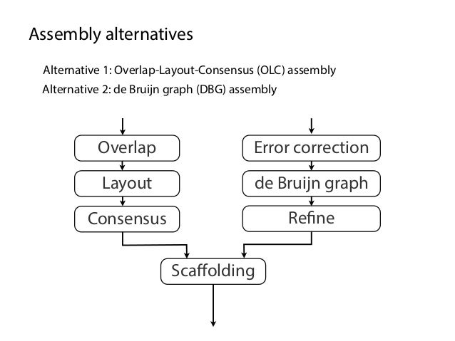 Overlap Layout Consensus assembly Overlap Layout Consensus assembly