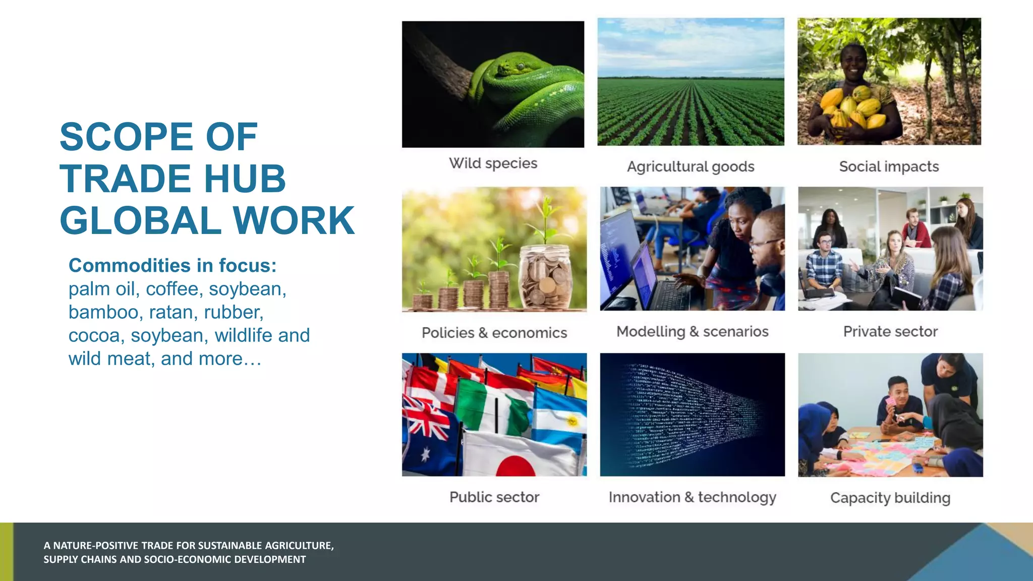 Welcoming remarks: About the Trade, Development, and the Environment ...