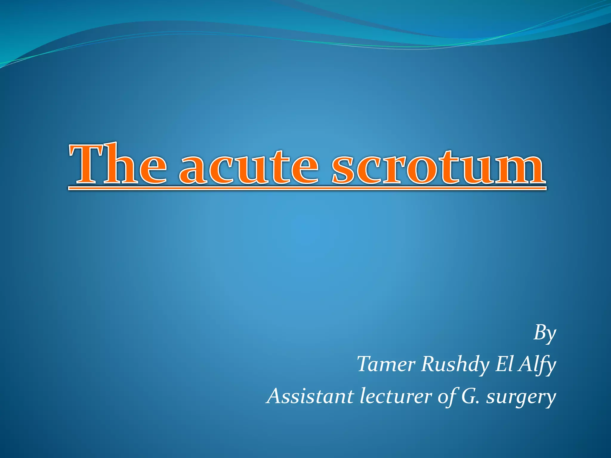 The Acute Scrotum Ppt