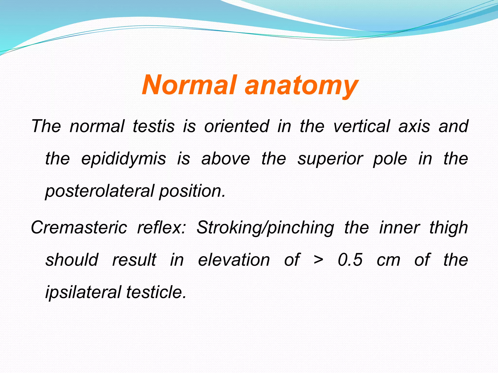 The acute scrotum | PPTX