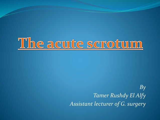 The acute scrotum | PPTX | Infertility | Reproductive Health