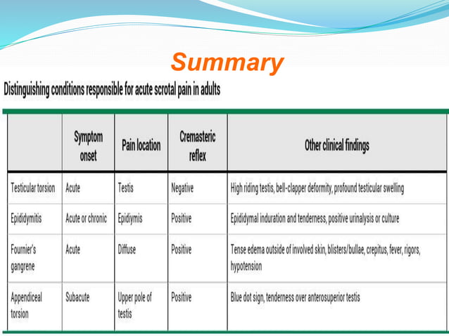 The acute scrotum | PPTX | Infertility | Reproductive Health