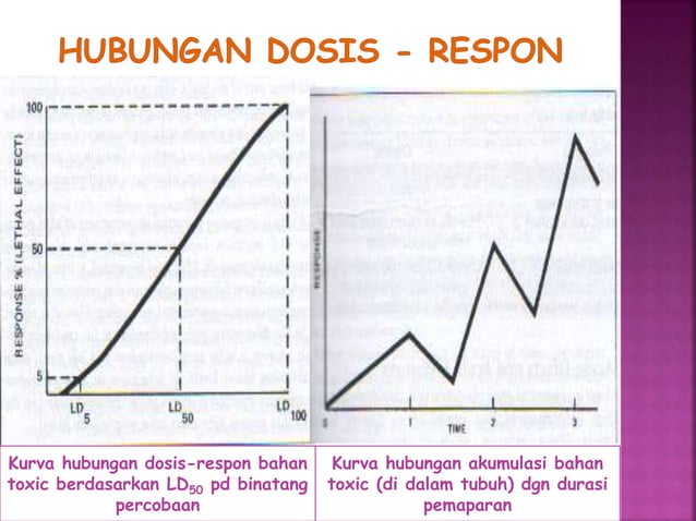 TOKSIKOLOGI industri keselamatan dan kesehatan kerja | PPT