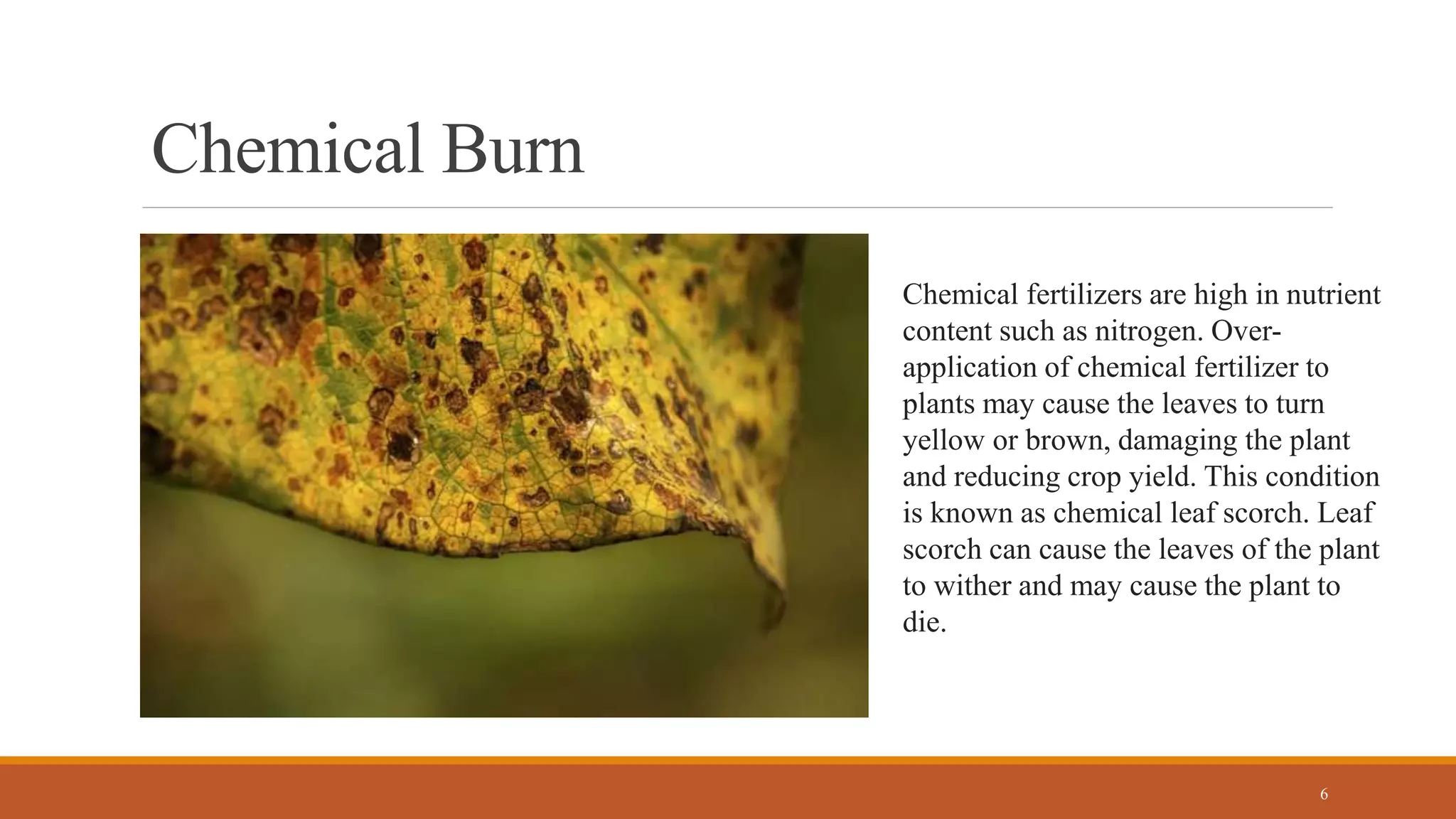 Advantages of bio fertilizers over chemical fertilizers | PPTX