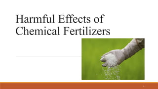 Advantages of bio fertilizers over chemical fertilizers | PPTX
