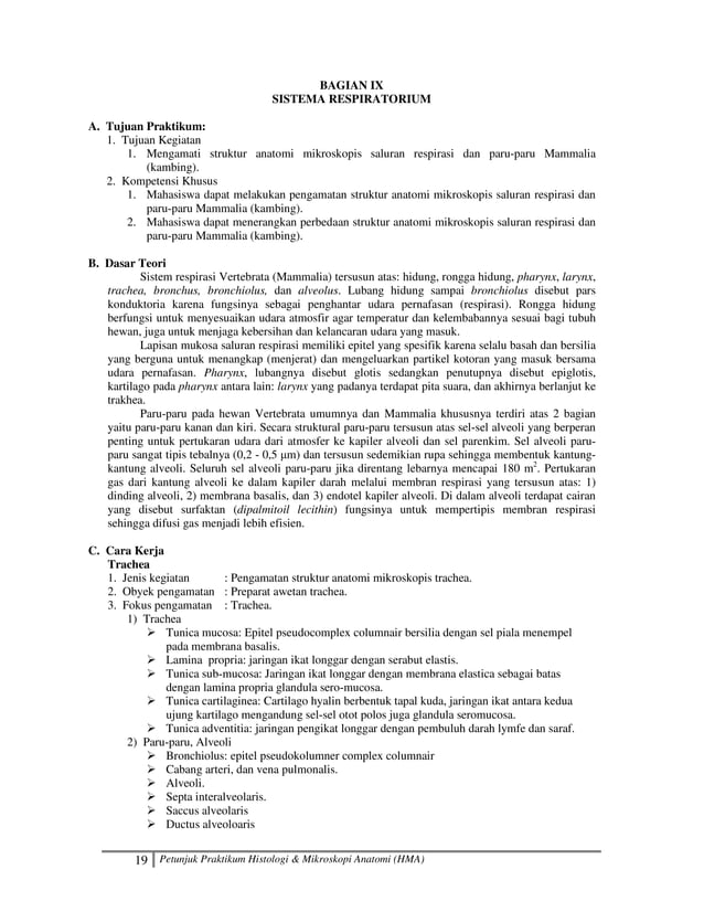 Prak-JARINGAN_EPITEL-Prak-JARINGAN_EPITEL.pdf