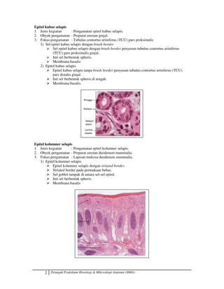 Prak-JARINGAN_EPITEL-Prak-JARINGAN_EPITEL.pdf