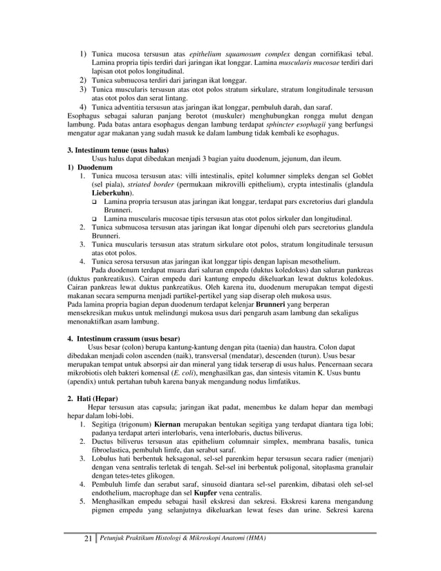 Prak-JARINGAN_EPITEL-Prak-JARINGAN_EPITEL.pdf