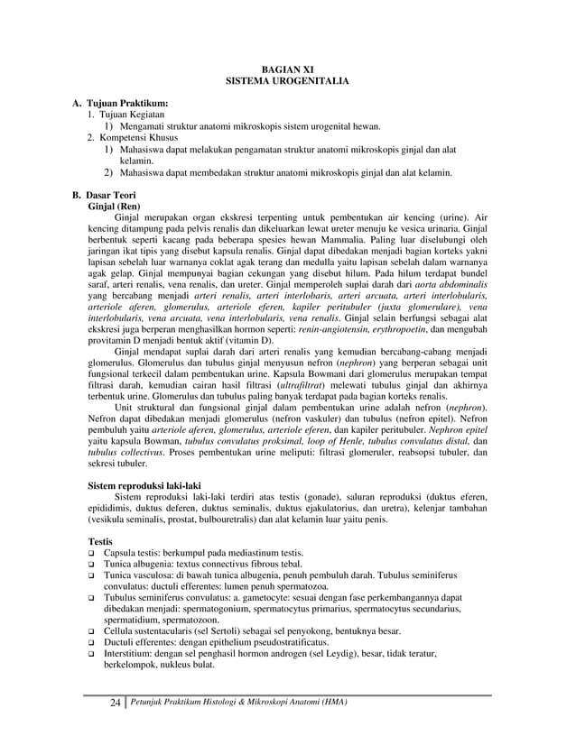 Prak-JARINGAN_EPITEL-Prak-JARINGAN_EPITEL.pdf