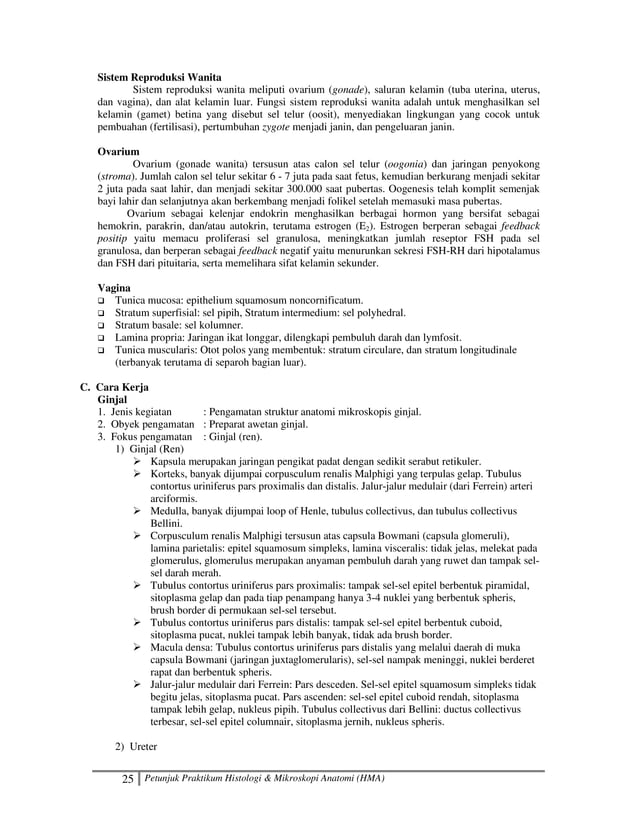 Prak-JARINGAN_EPITEL-Prak-JARINGAN_EPITEL.pdf