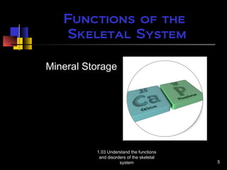 1.03 understand the_functions_and_disorders_of_the_skeletal_system | PPT
