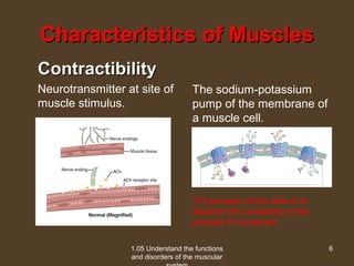 1.05 understand the_functions_and_disorders_of_the_muscular_system ...
