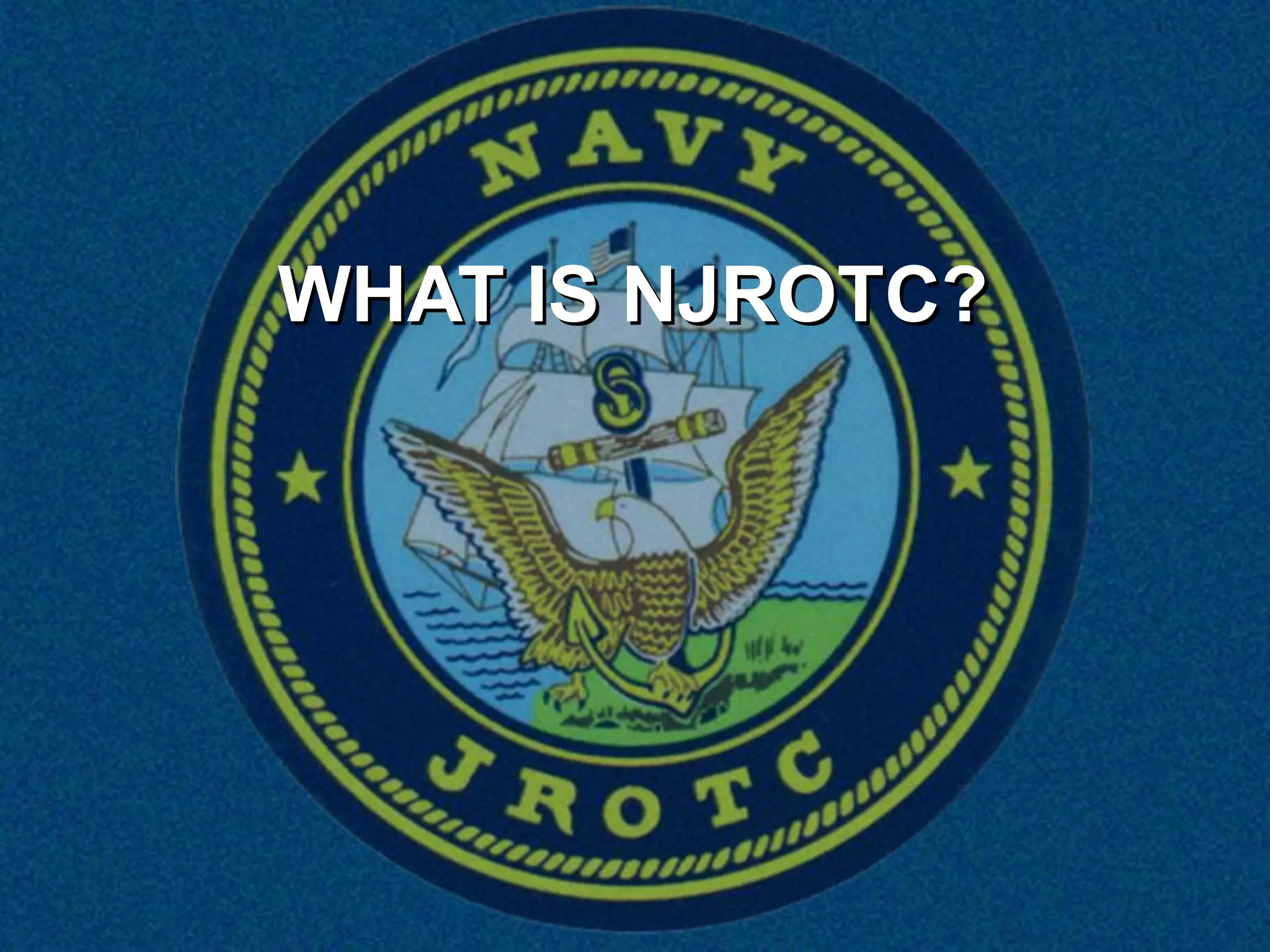 1.0 Introduction to the NJROTC Program | PDF