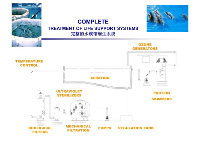 Aquarium life support system and protein skimmer | PPT