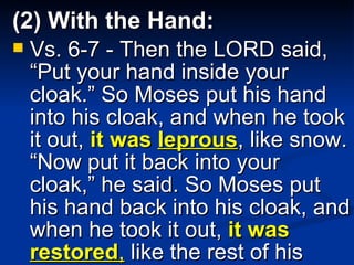 Staff In Moses' Hand | PPT