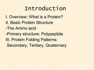 A QUICK GLANCE AT PROTEIN STRUCTURE | PPT