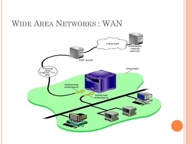 NETWORKARCHITECTURE& STRUCTURE | PPT