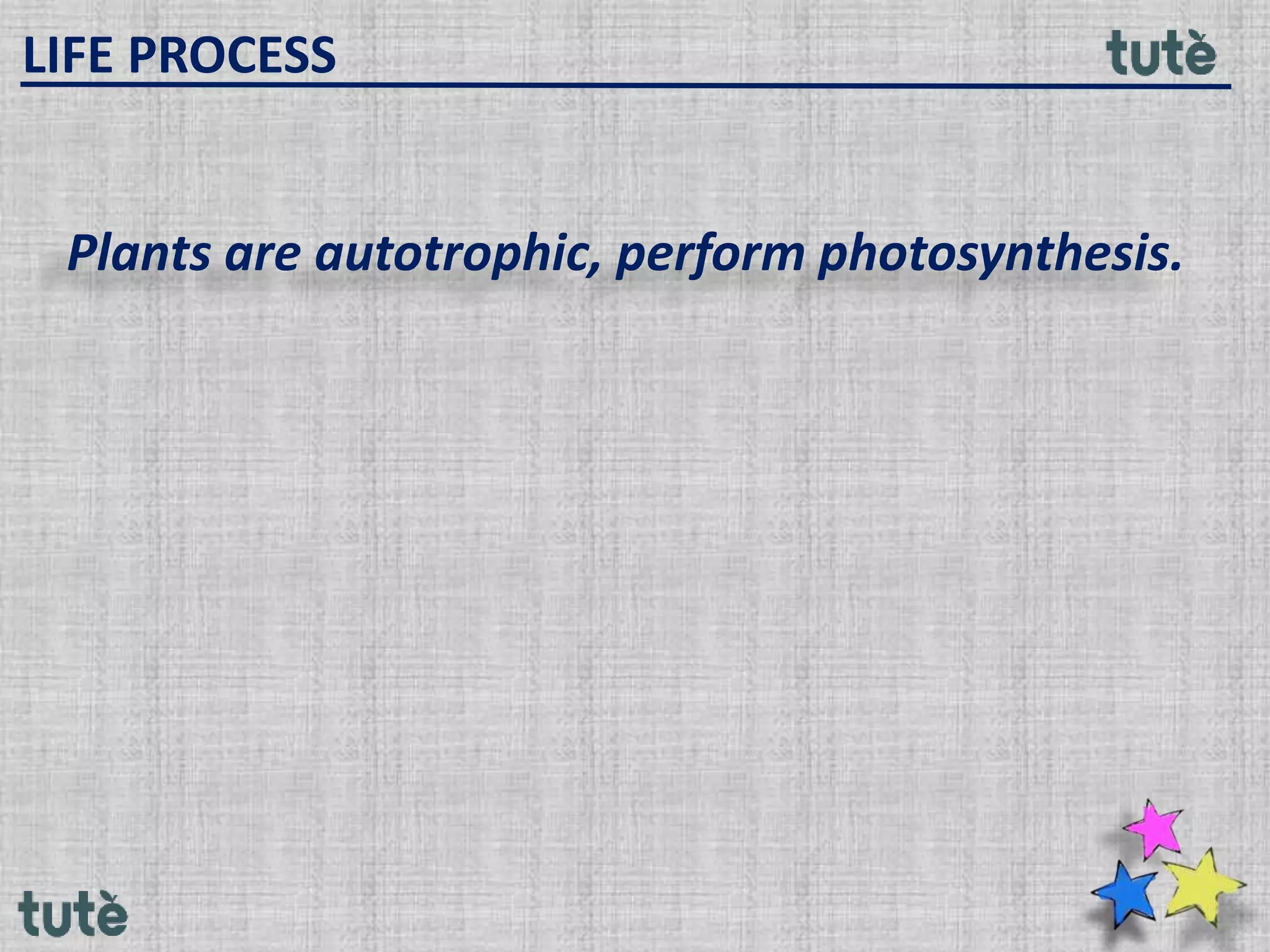 10 TH - Life Process - cbse - biology | PPTX