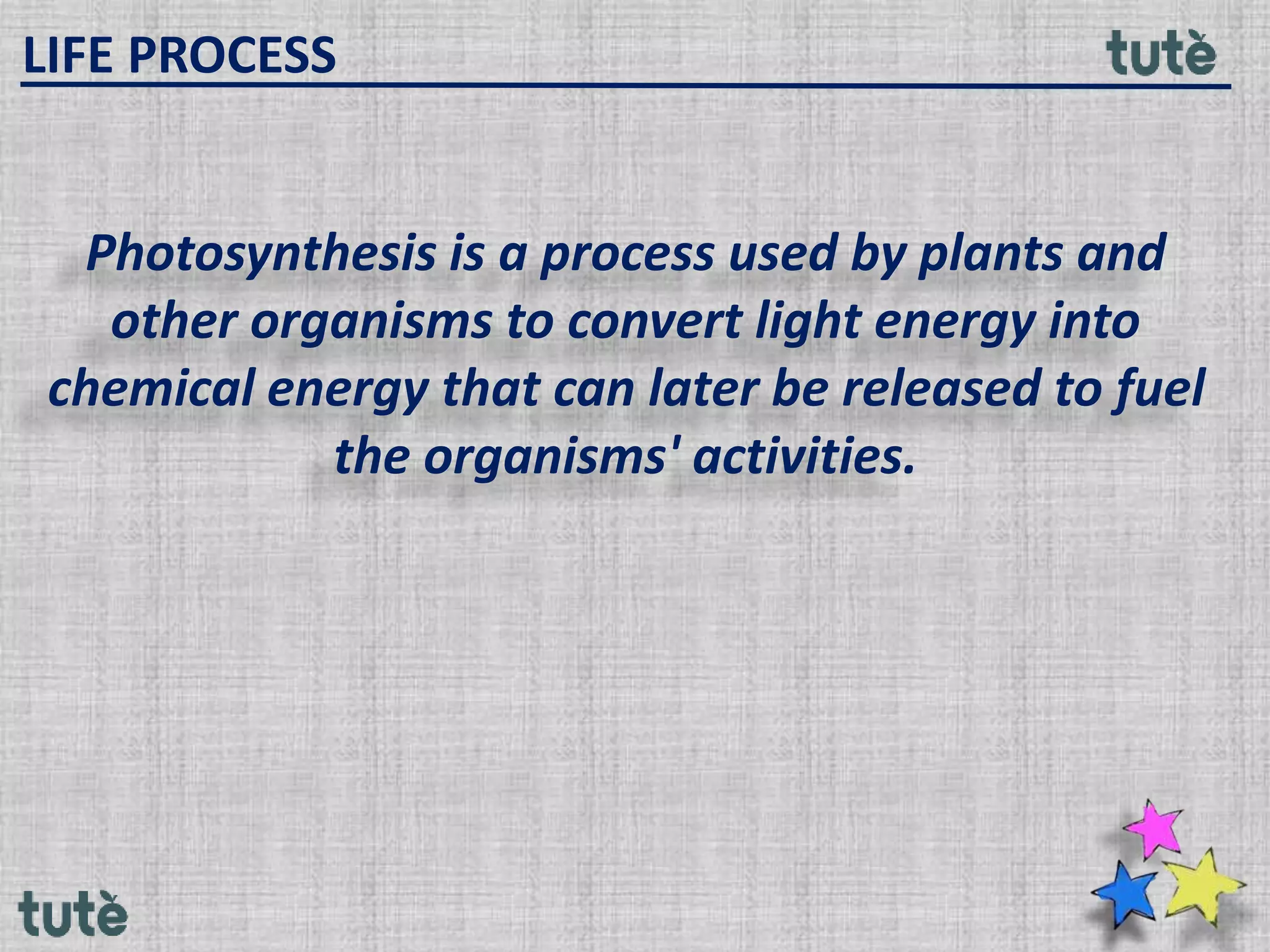 10 TH - Life Process - cbse - biology | PPTX