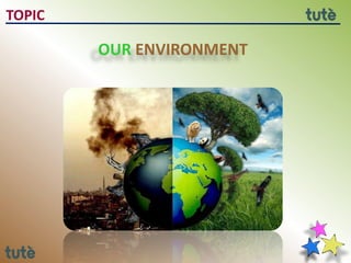 1 10 th - our environment - cbse - biology - iram. | PPT