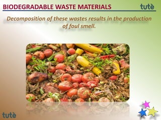 1 10 th - our environment - cbse - biology - iram. | PPT