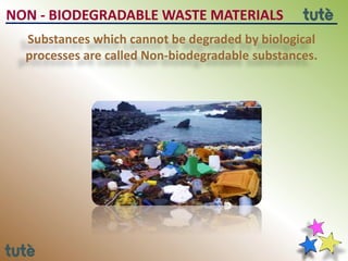 1 10 th - our environment - cbse - biology - iram. | PPT