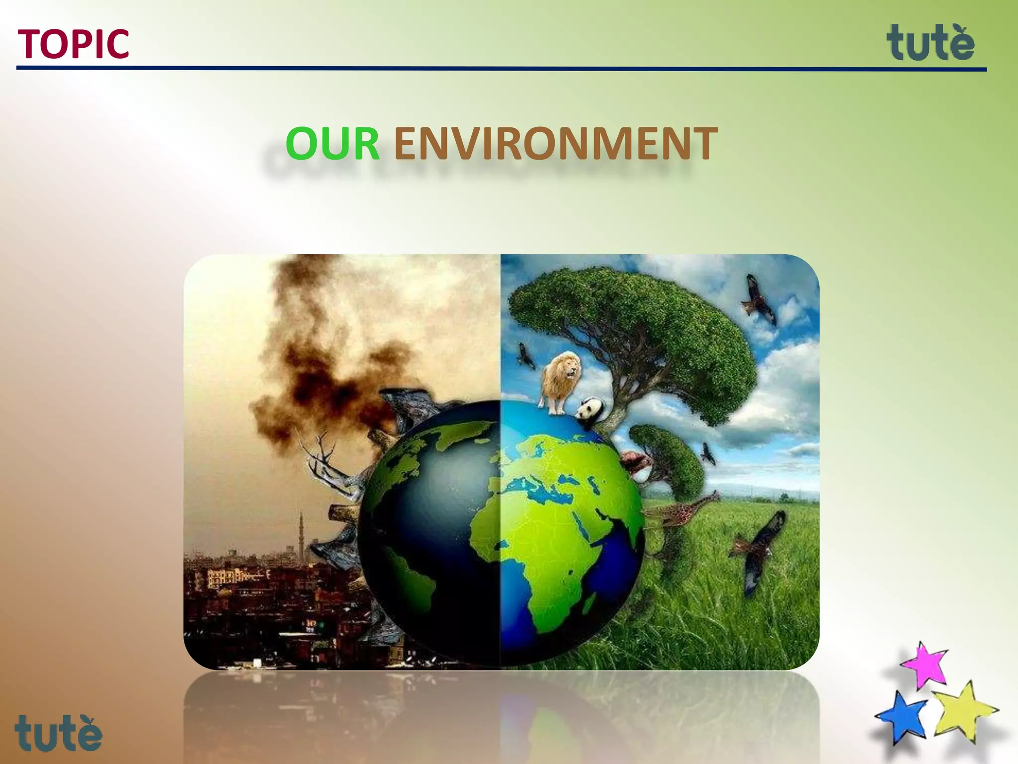 10 th - our environment - cbse - biology - iram. (1) | PPTX