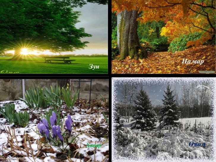 хэрэглэгдэхүүн 1