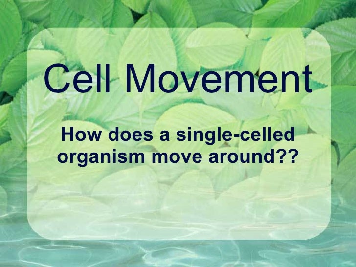 Cell Movement