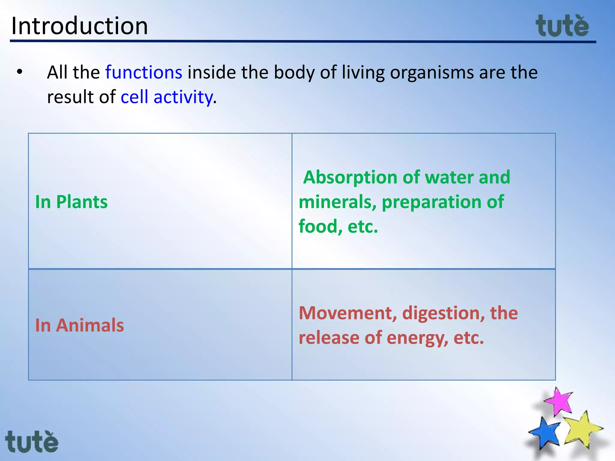 11th class Biology - Cell Structure and Function | PPTX