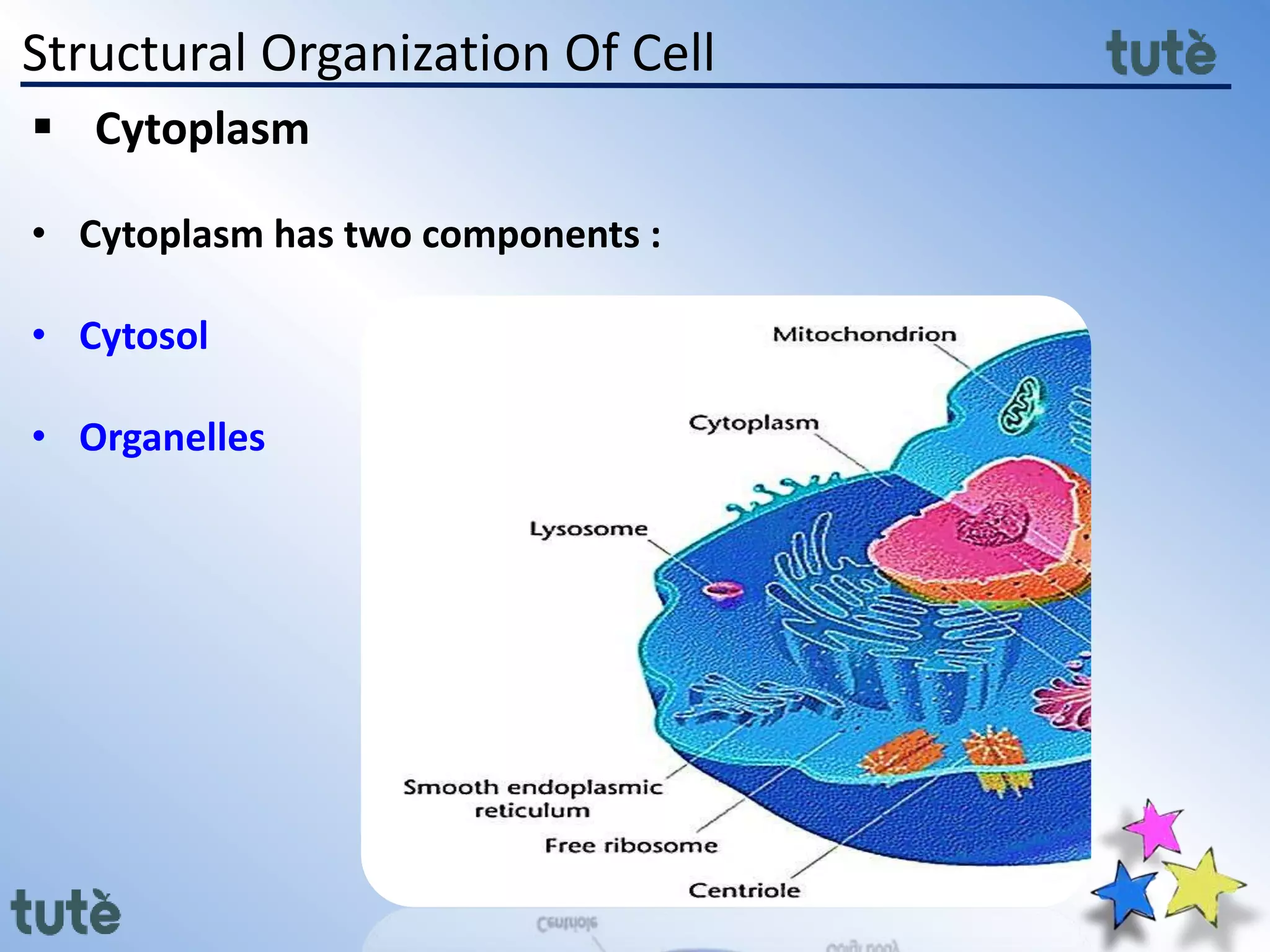11th class Biology - Cell Structure and Function | PPTX