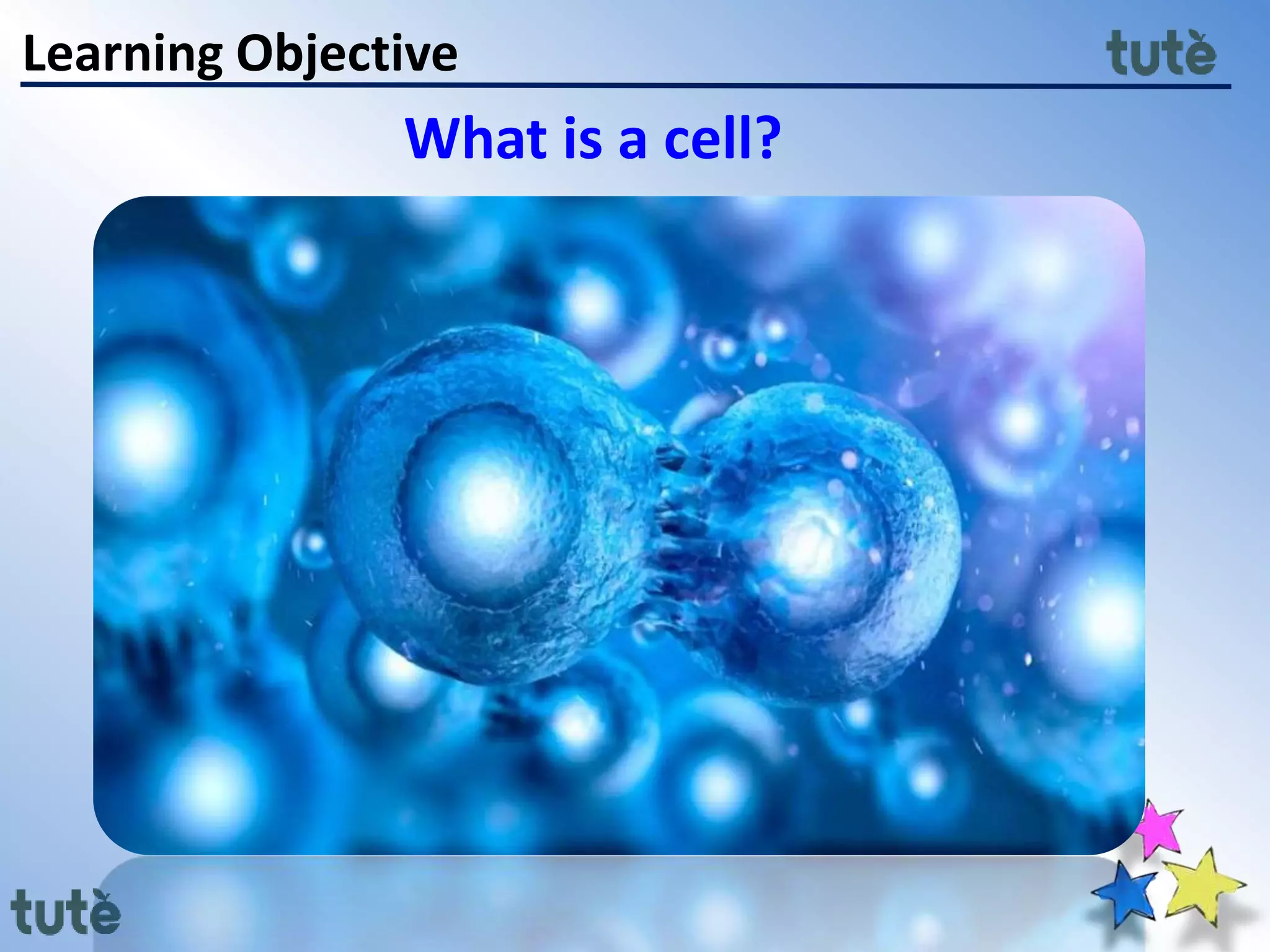 11th class Biology - Cell Structure and Function | PPTX