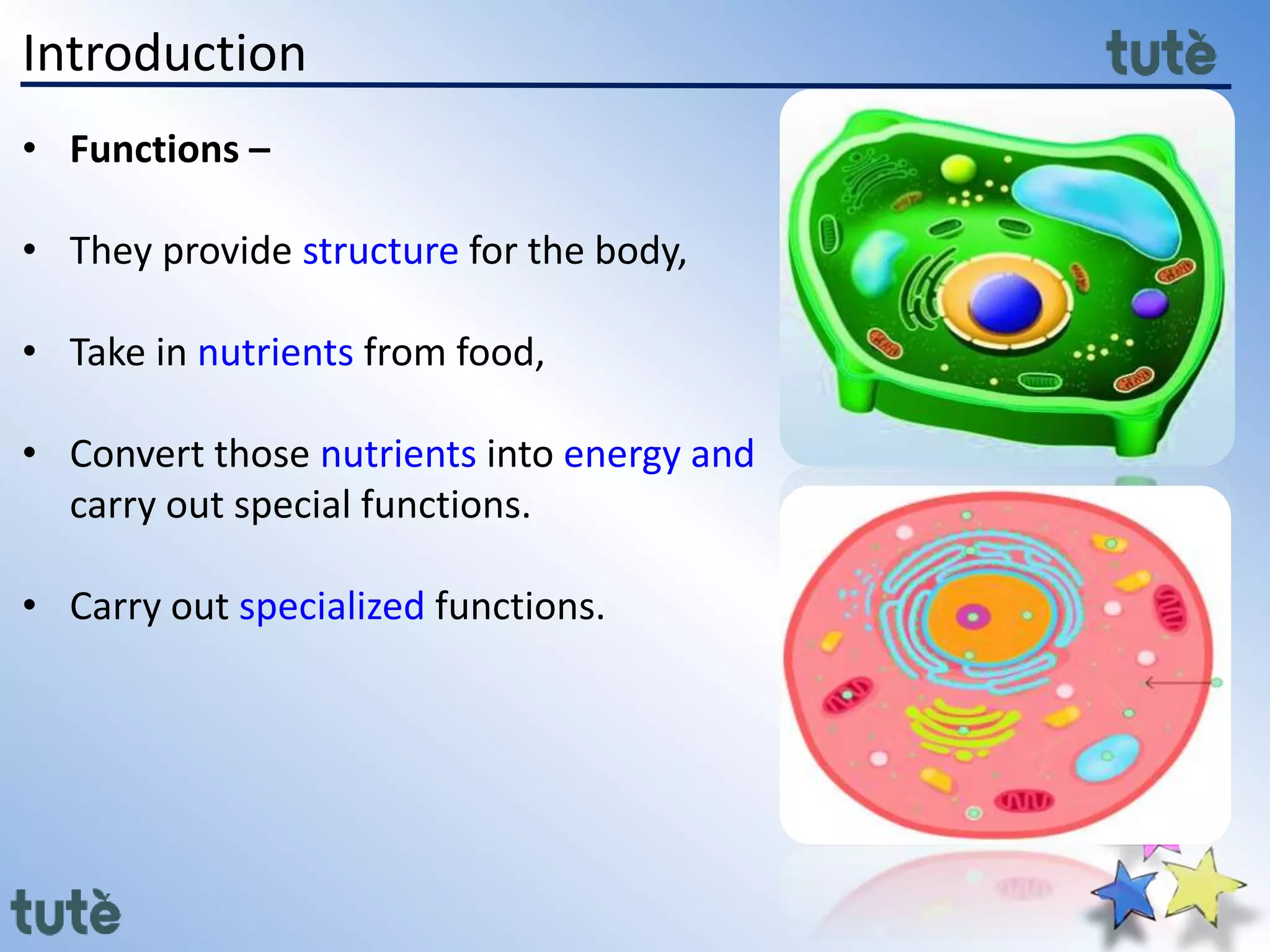 11th class Biology - Cell Structure and Function | PPTX | Biological ...