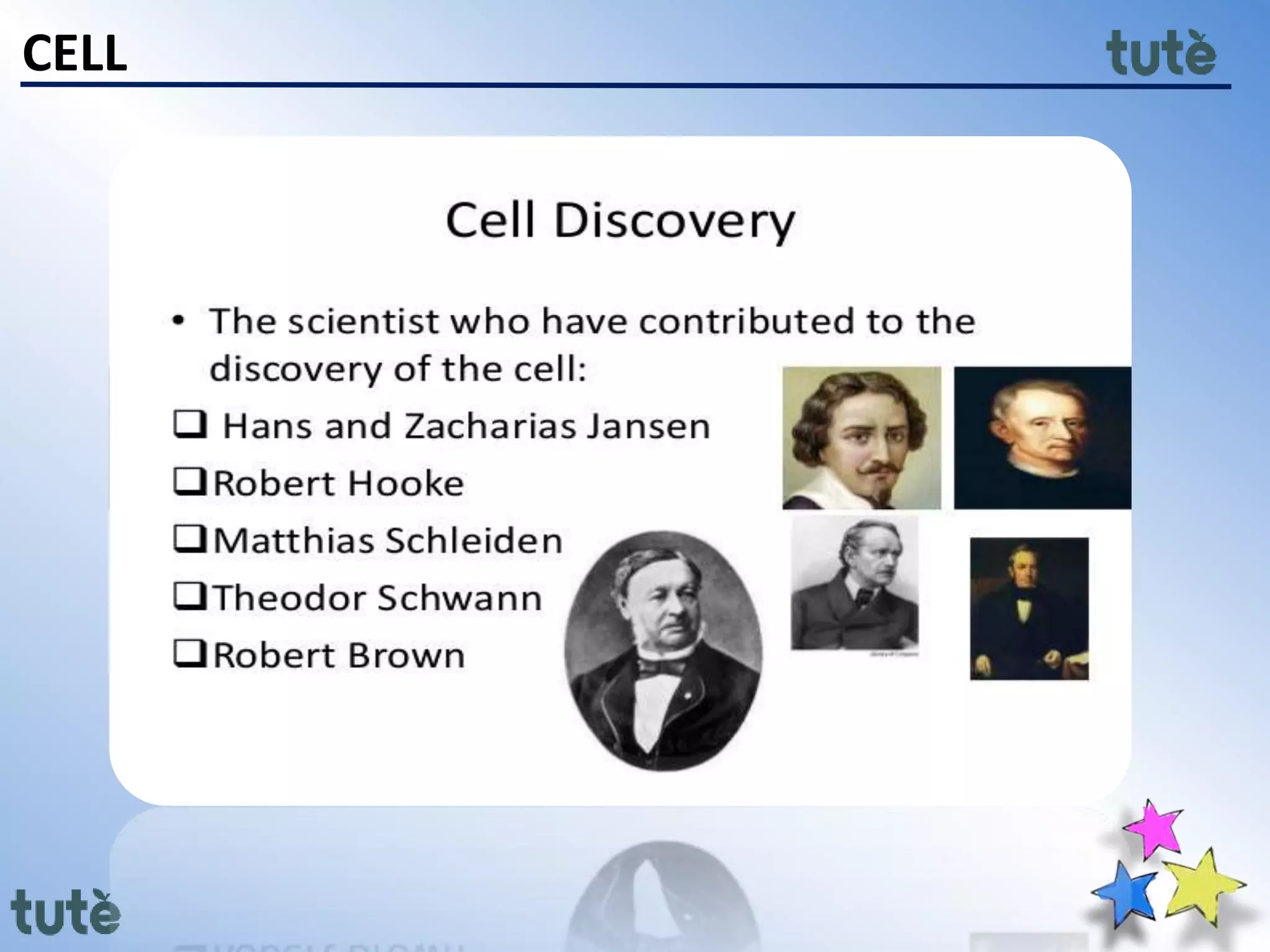 11th class Biology - Cell Structure and Function | PPTX