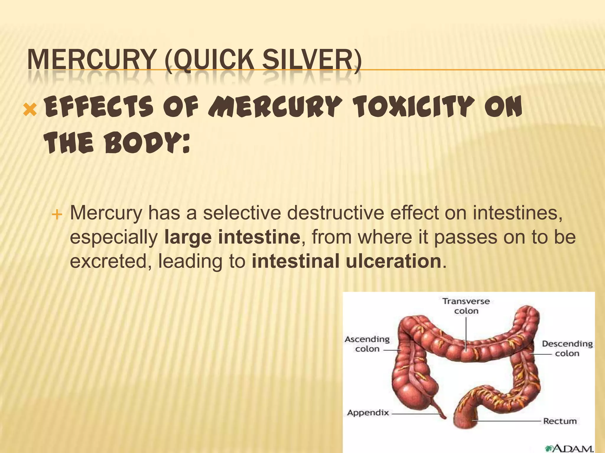Mercury Poisoning | PPTX