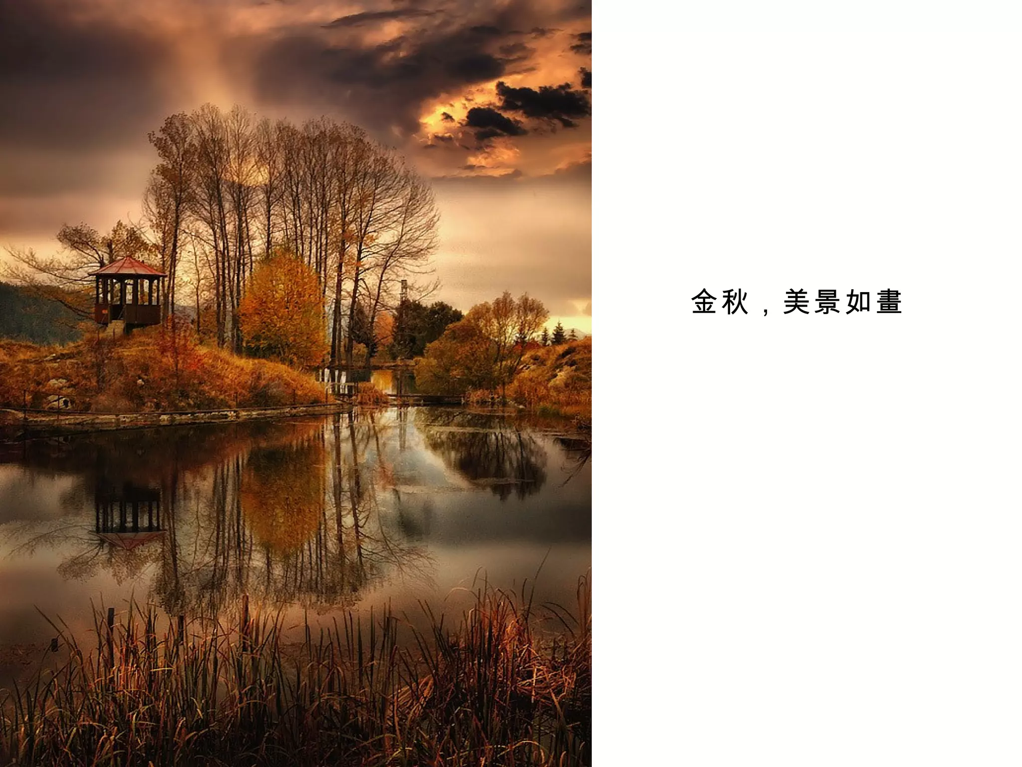 攝影美圖欣賞(1) | PPT | Free Download