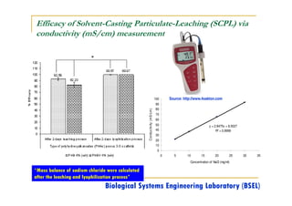 2nd BSEL Group Meeting Presentation | PDF | Biotech and Biomedical Industry | Industries