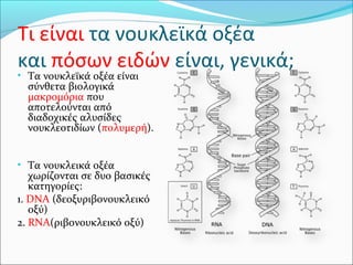 νουκλεϊκά οξέα 1ος κύκλος | PPS