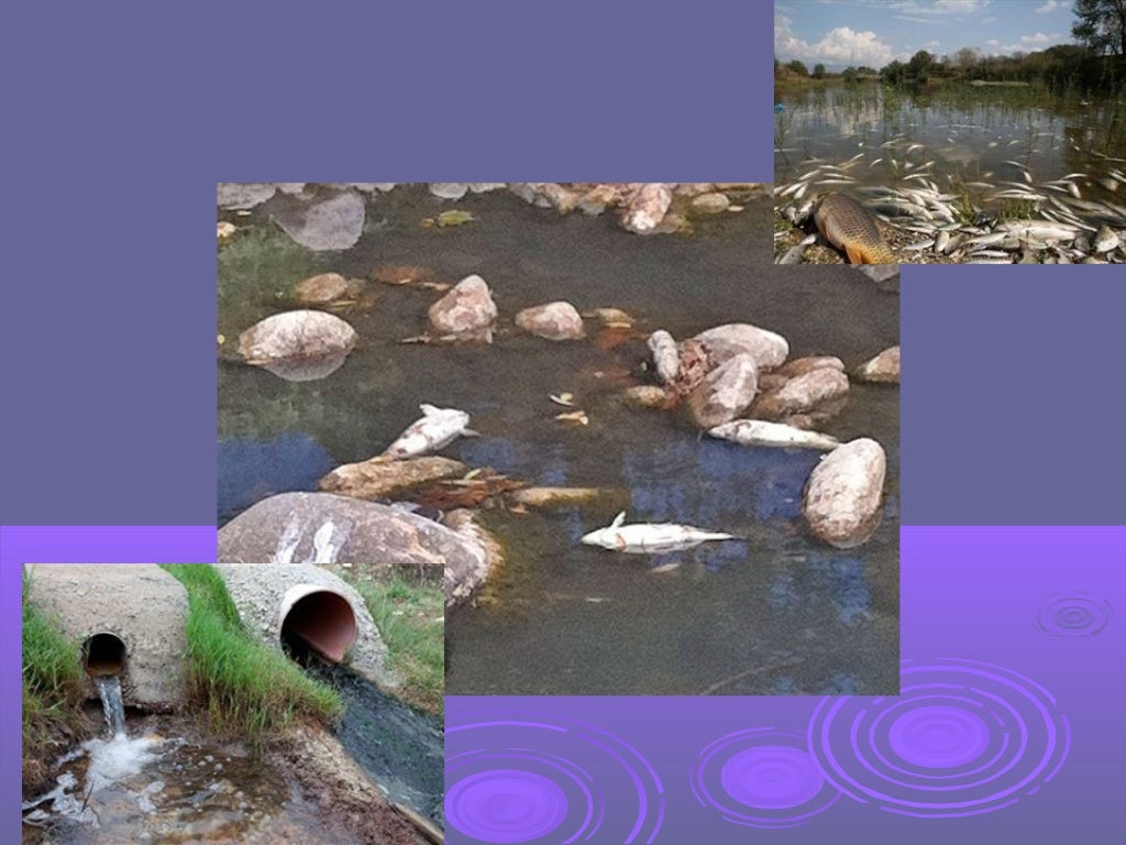 οξινη βροχη γ1