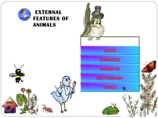 Unit 1: Animals | PPT